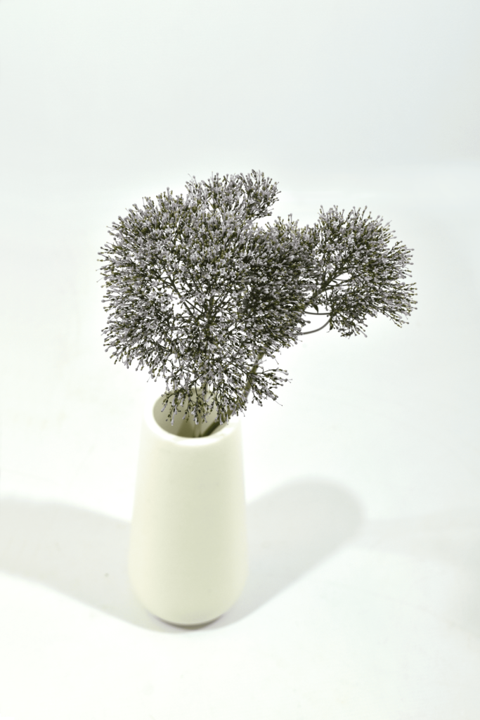 Trachelium Corine Light Blue – Agrogana